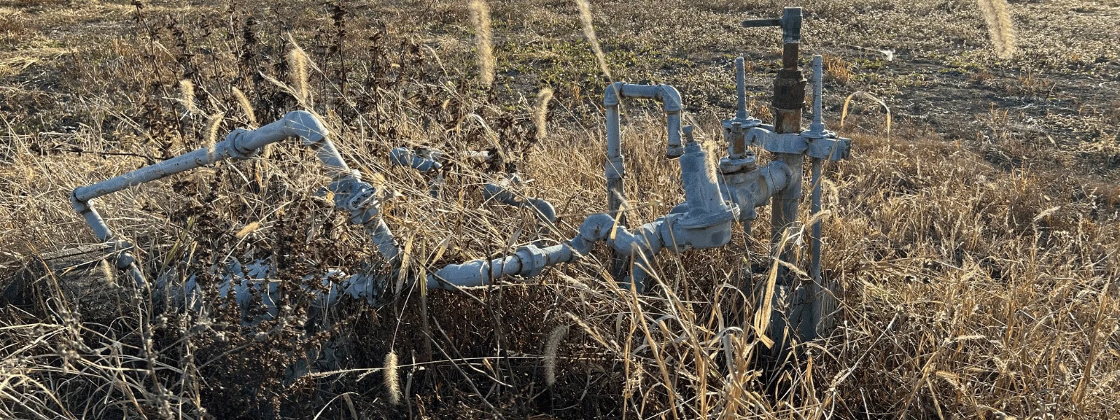 Maximizing Our Climate Impact Through Multi-Year Offtake Agreements ...