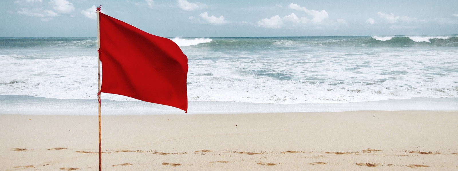 How to Spot, and Avoid, Vendor Management System Red Flags | Workday US