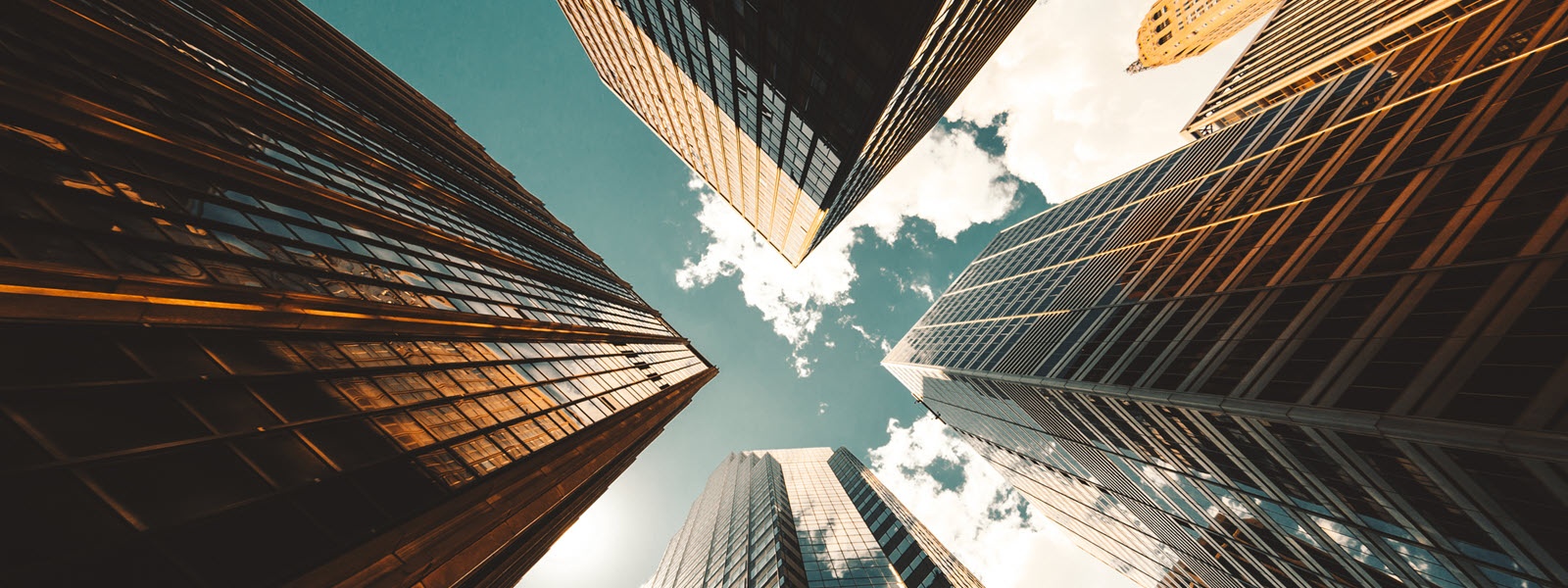 Looking Forward: 8 Trends Impacting the Office of the CFO