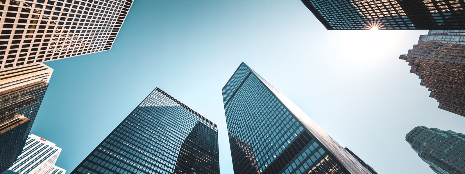 UNTAPPED: Workday-Developed Documentary Explores Skills as the Modern ...