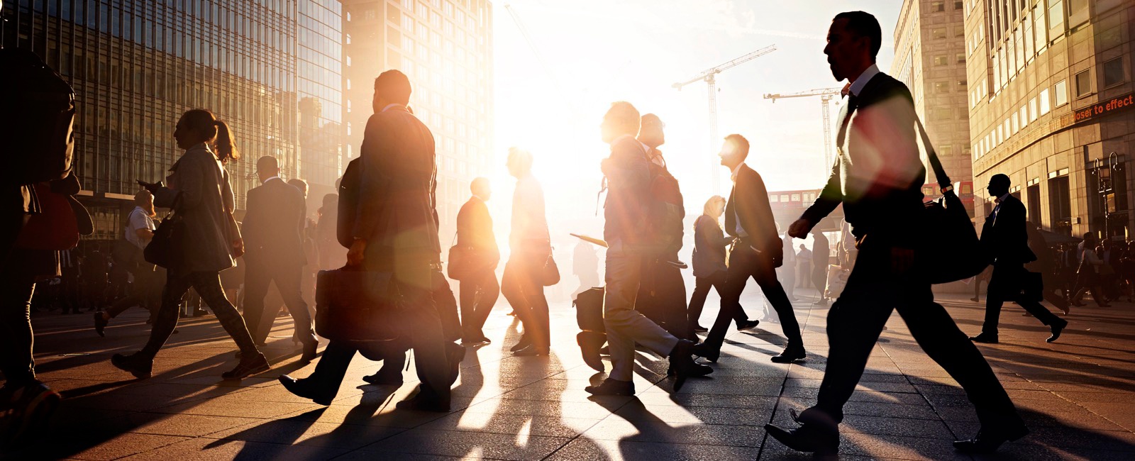 What Is Workforce Management? What to Know When Choosing a WFM Solution